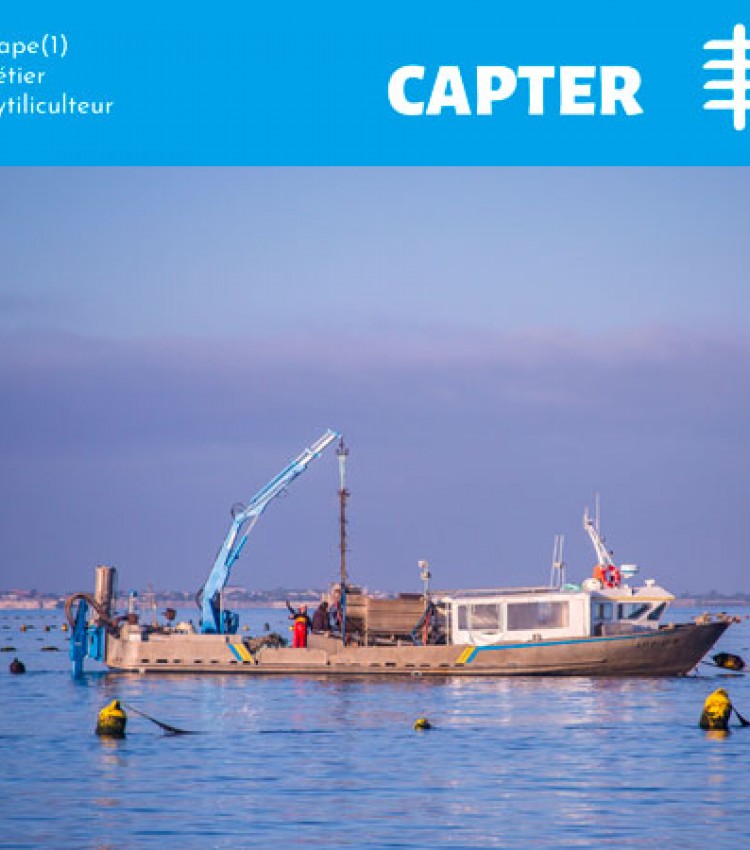 Les étapes du métier de mytiliculteur | CRC avenir